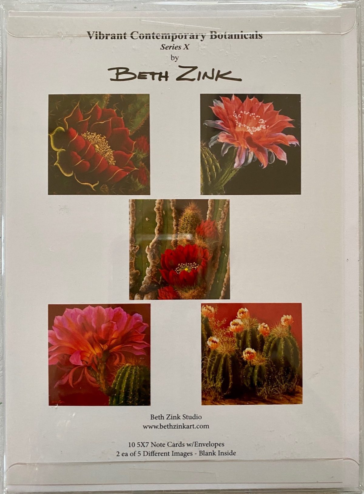 Series X - Beth Zink Art