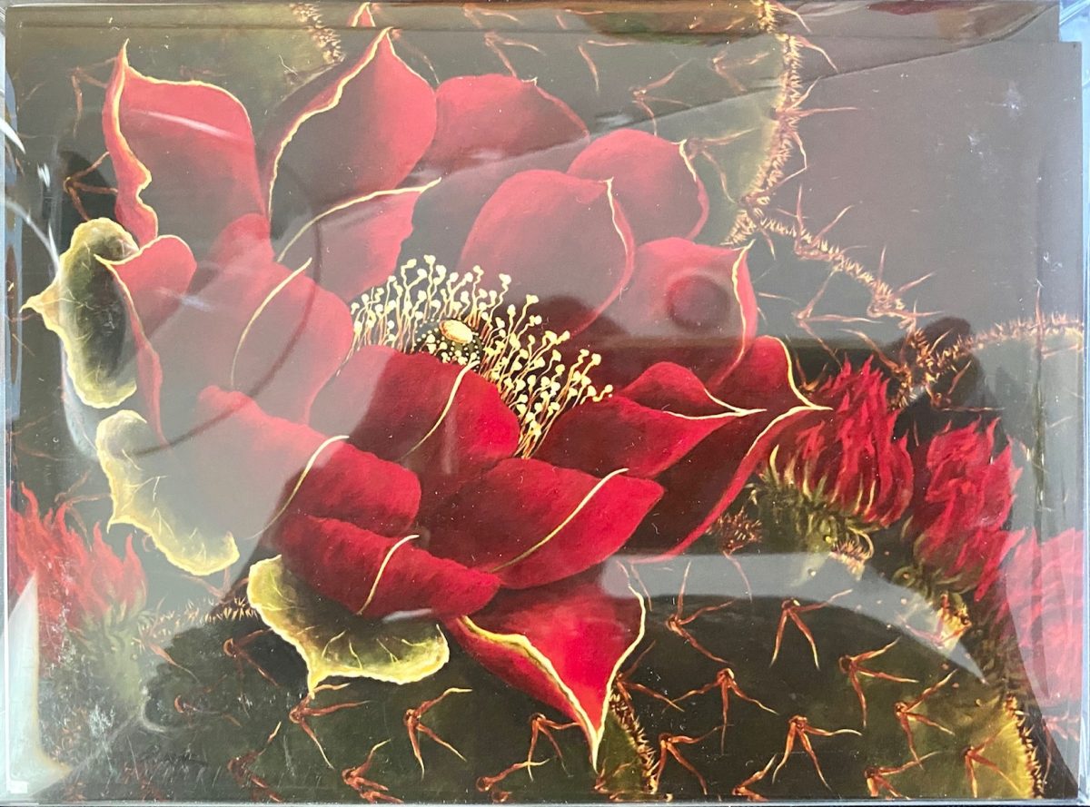 Shop - Beth Zink Art