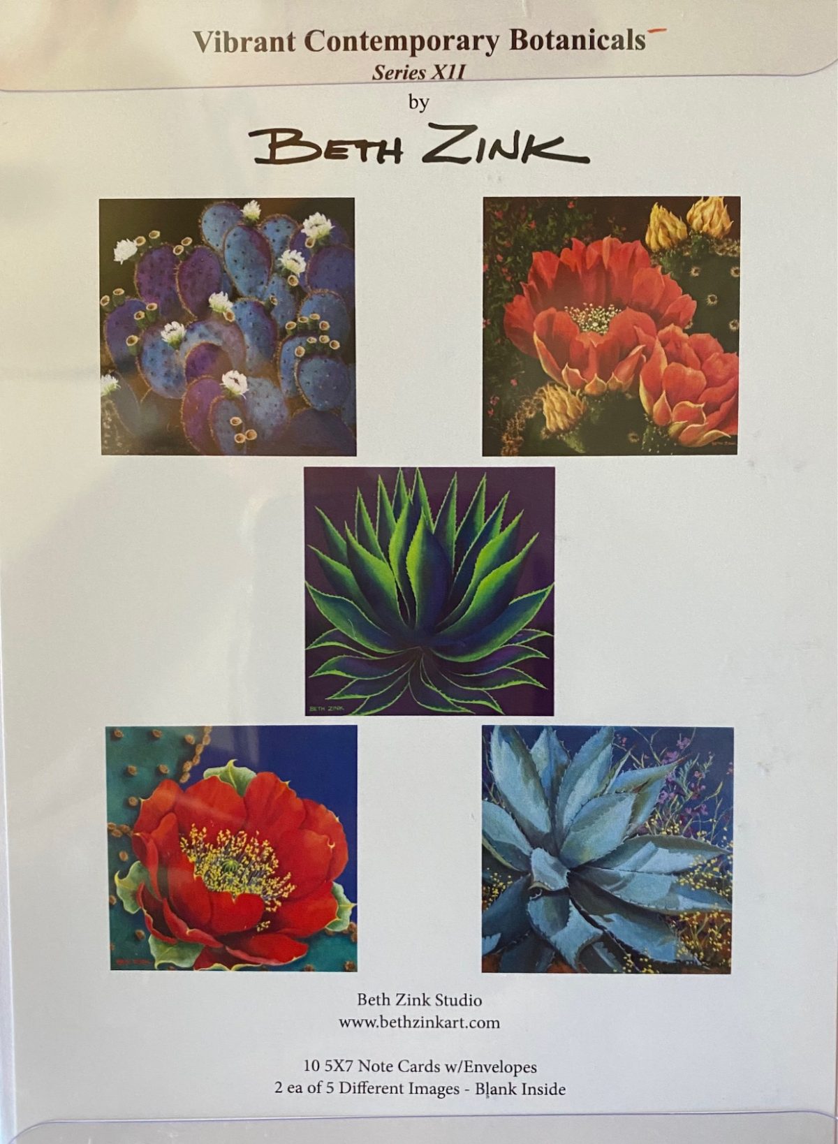 Large Notecards Series XII - Beth Zink Art